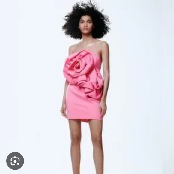 Zara | Dresses | Zara Backless Dress | Poshmark